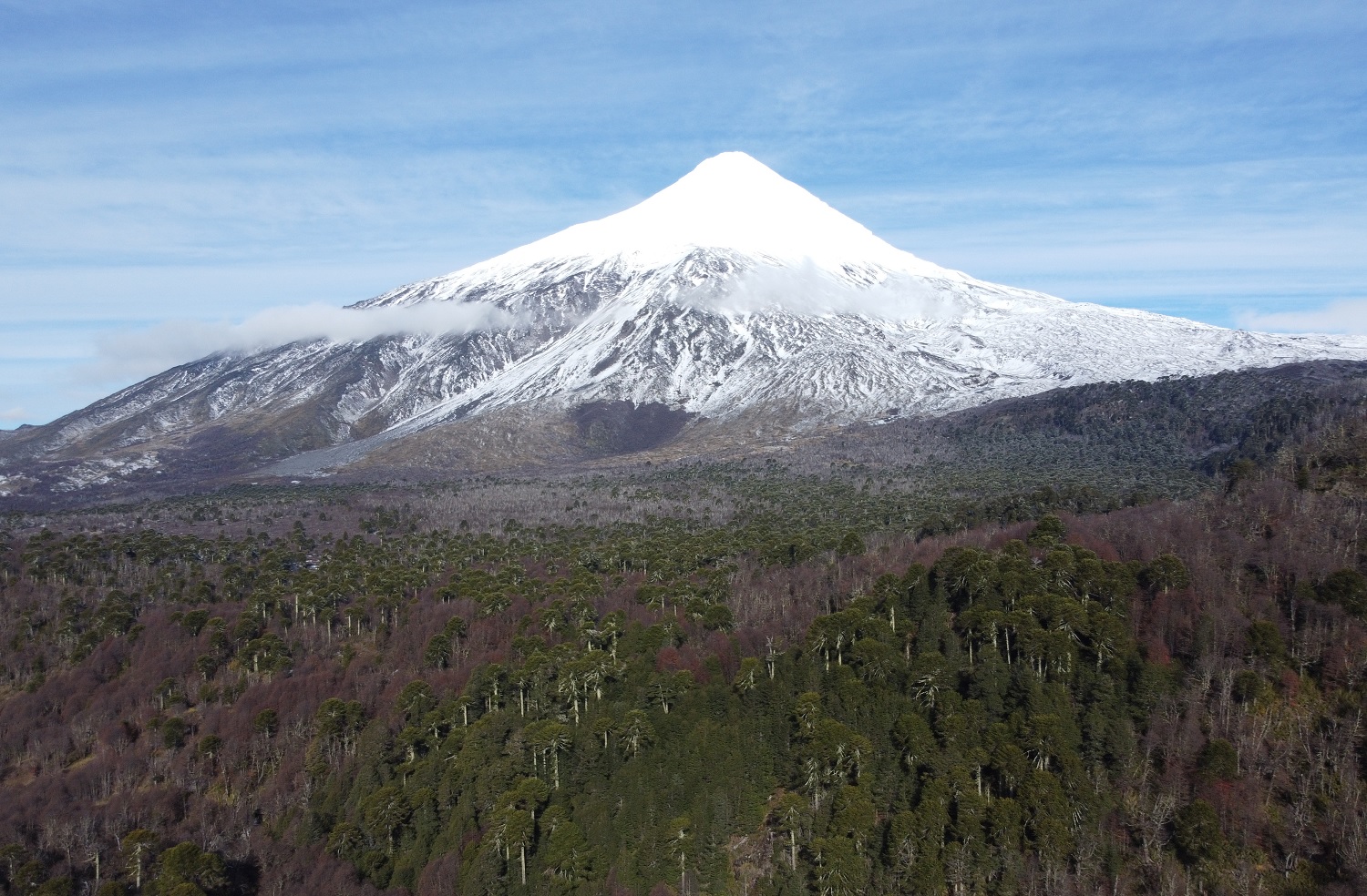 Volcán Lanín – Araucania Traveller