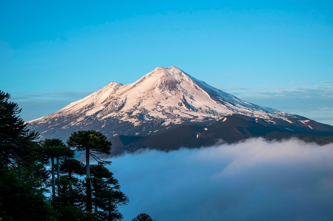 Volcán Llaima – Araucania Traveller